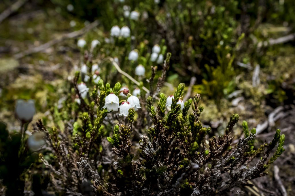 Primary Document Analysis: United Nations “Declaration of the Rights of ...